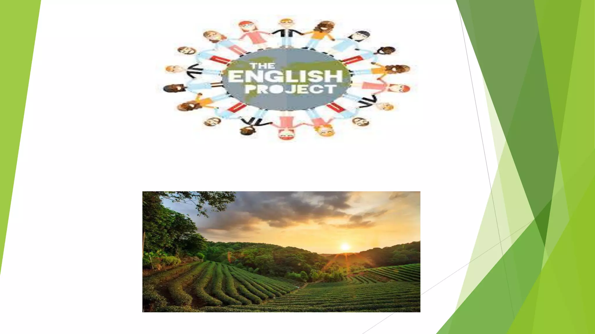 English project (Deepak Meena).pptx