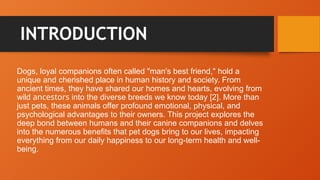 ENGLISH_PROJECT_FILE_FINAL.pptx this is gooodd | PPTX