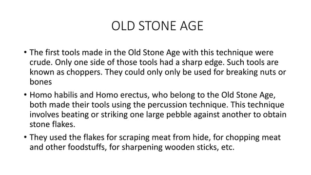 ENGLISH PROJECT ON STONE AGE.pptx | Geology | Science