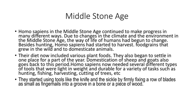 ENGLISH PROJECT ON STONE AGE.pptx | Geology | Science