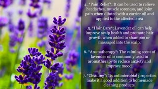 english project on use of lavender and arica aane their helpfulness | PPT