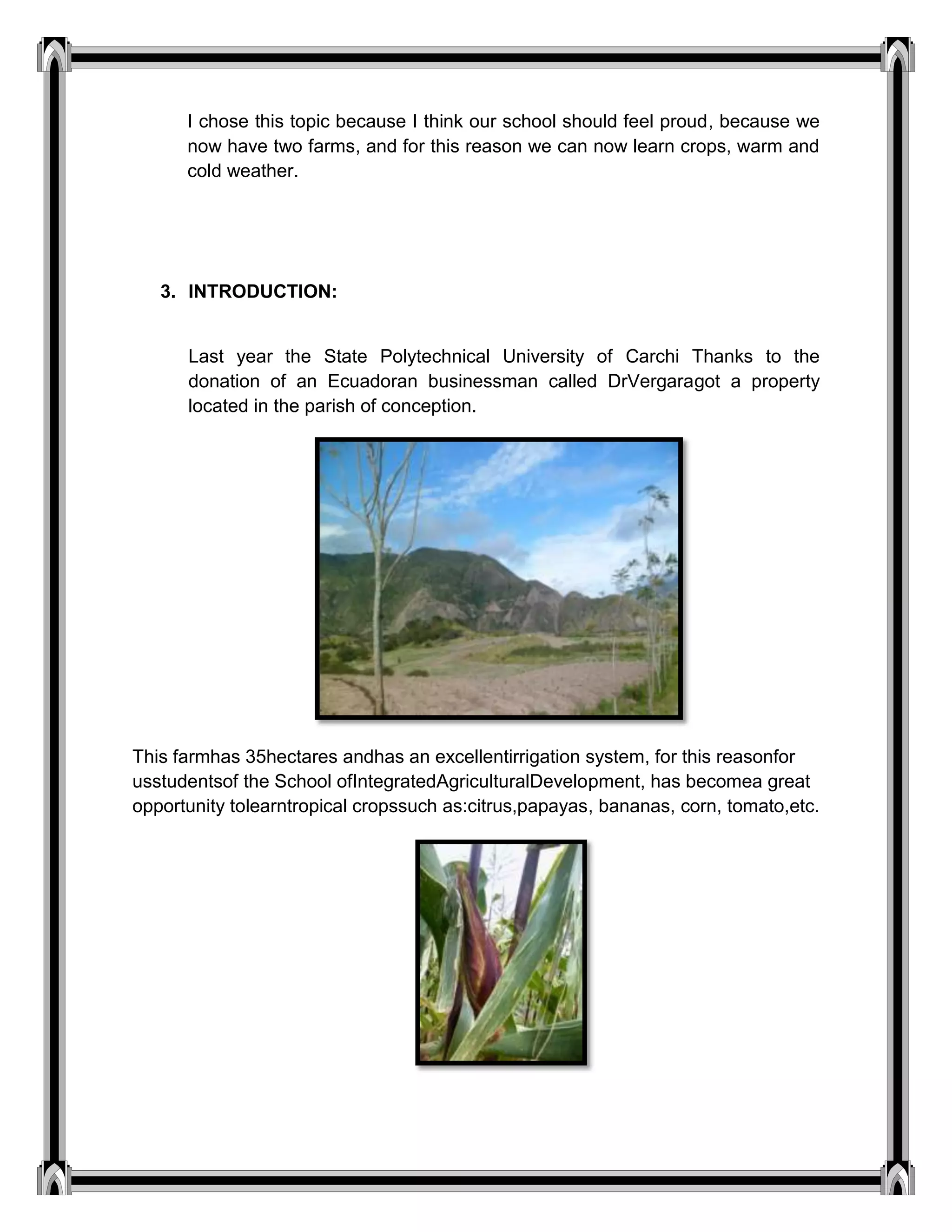 English project seventh level | PDF