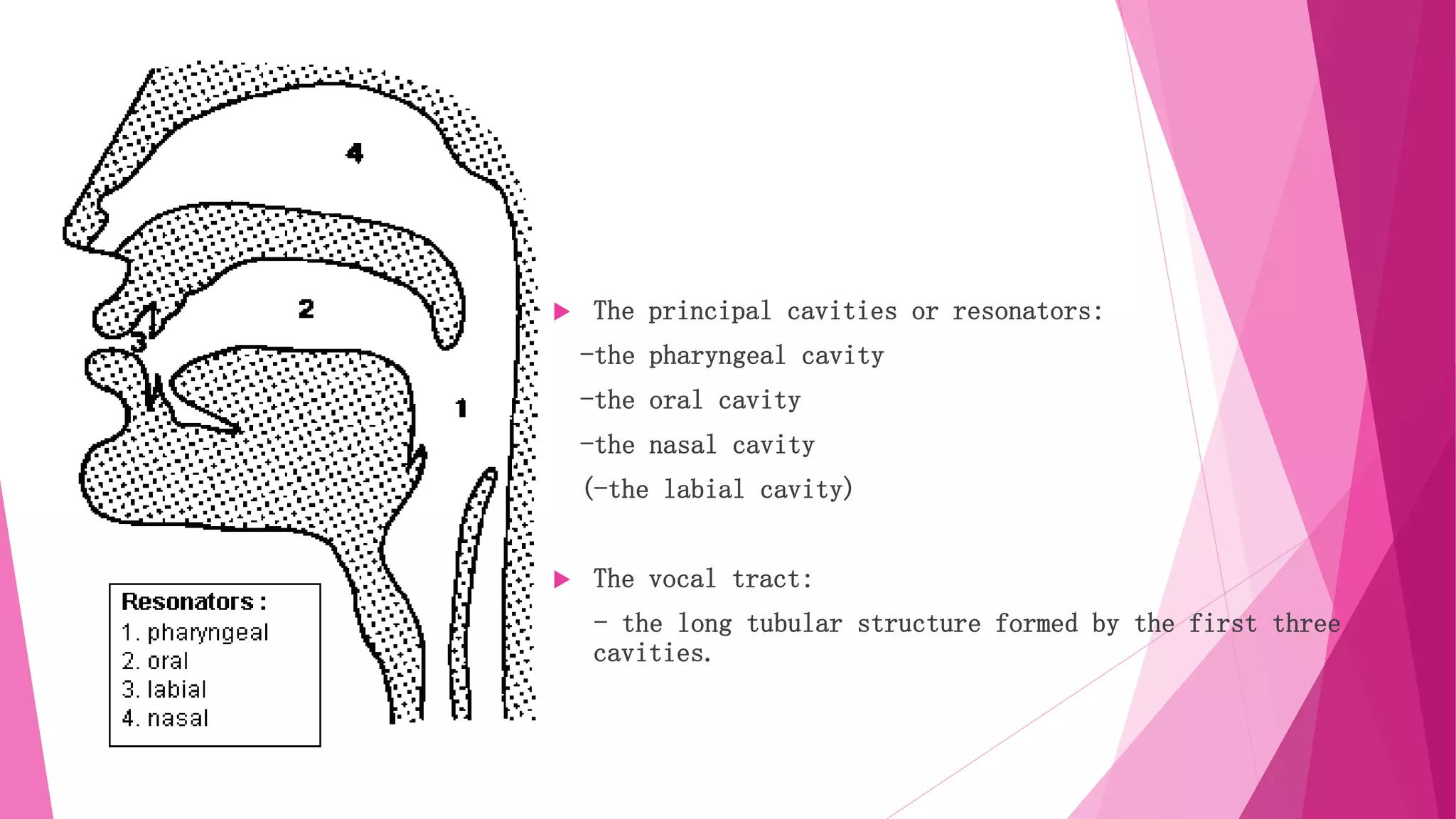 English Pronunciation | PPTX