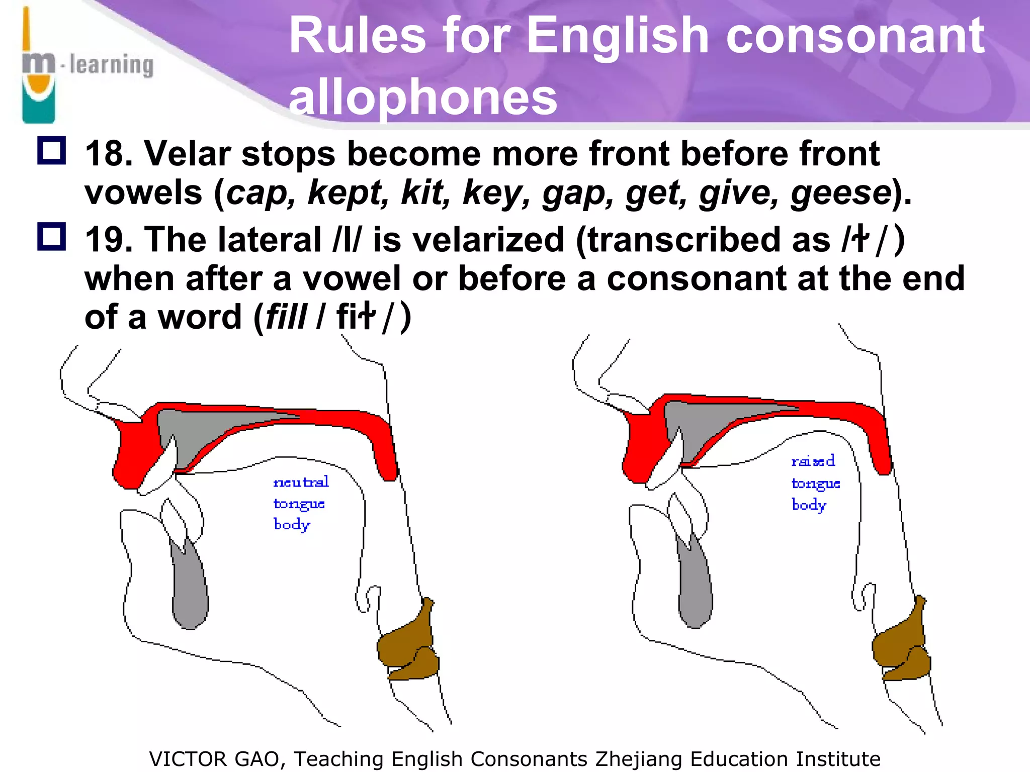 English Pronunciation Speech Organs | PPT