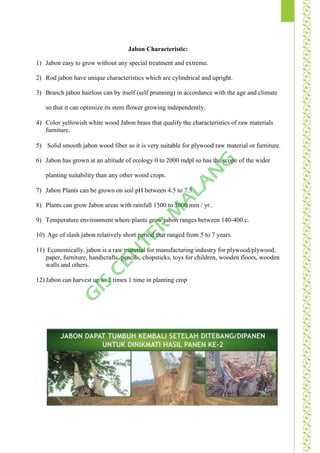 Planting Environmental Conservation Investment Program PT. Global Media ...