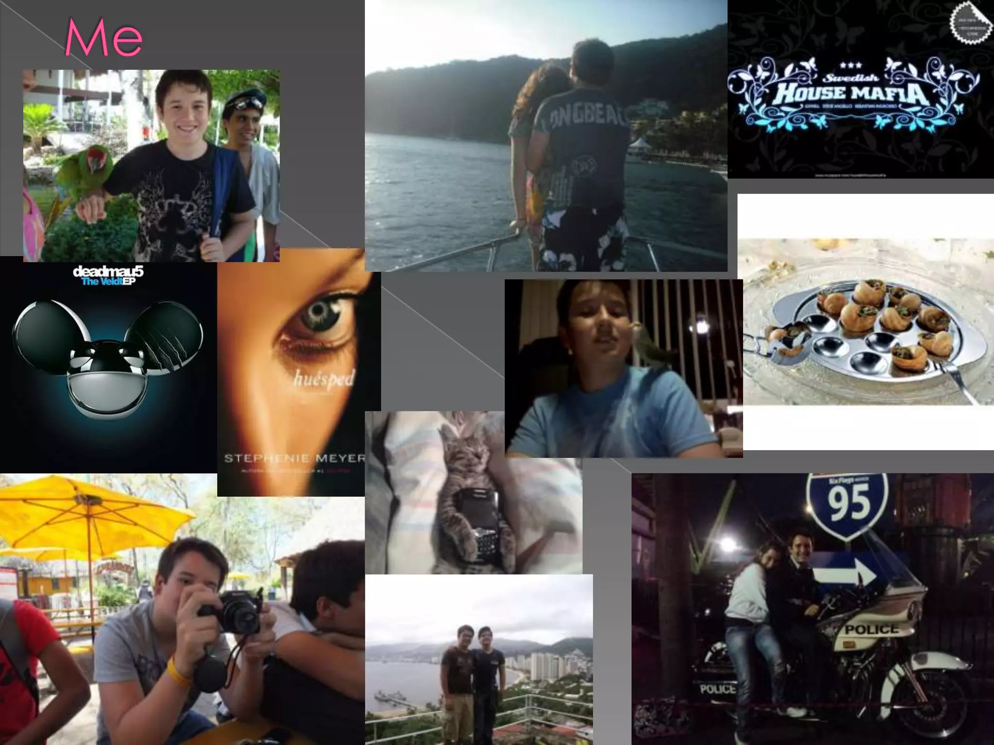 English proyect | PPT