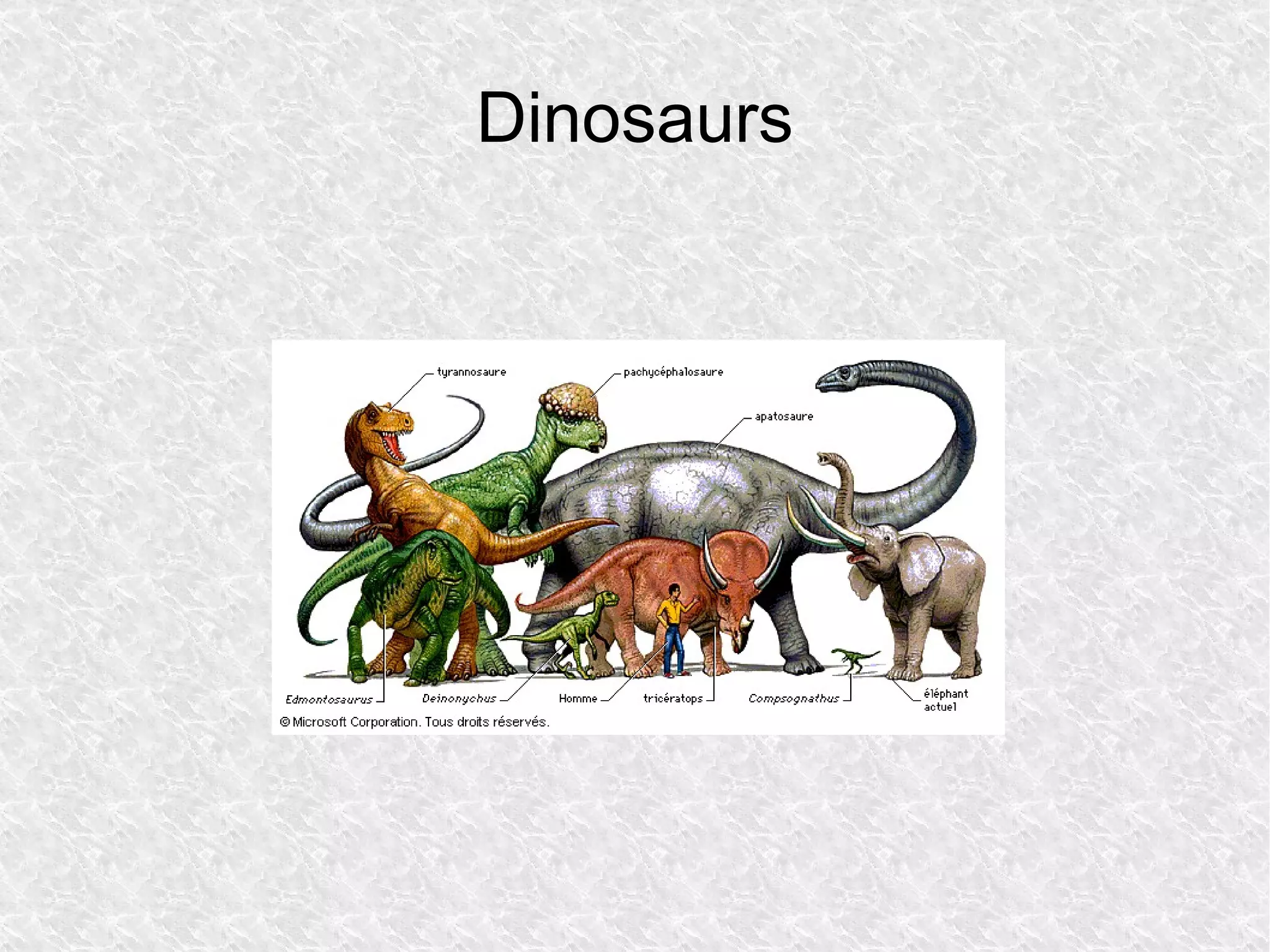 English présentation dinosaurs | ODP