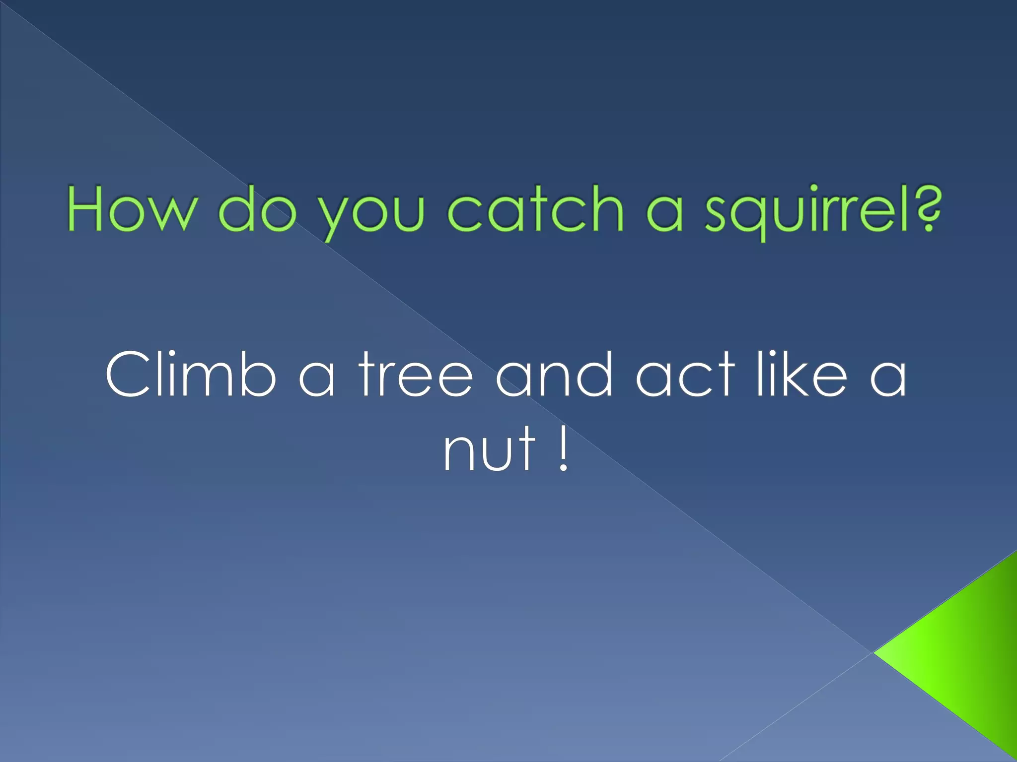 Fun Englsih Riddle | PPTX