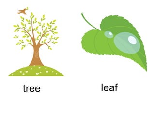 English spring flashcards | PPT