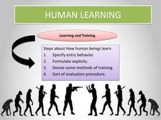 How humans learn in general and how they learn a foreign language | PPTX