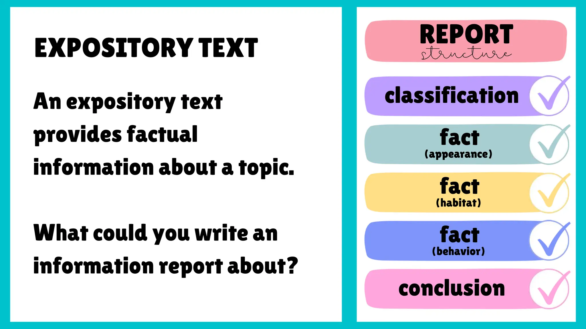 Developing Paragraphs According to Text Types | PPTX