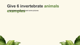 ENGLISH TIME_ Vertebrate and Invertebrate Animals.pptx