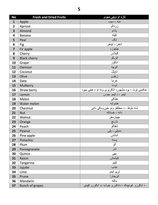 English to Pashto useful words set & Picture Dictionary | PDF