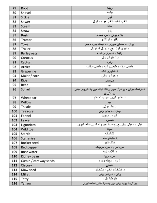 English to Pashto useful words set & Picture Dictionary | PDF