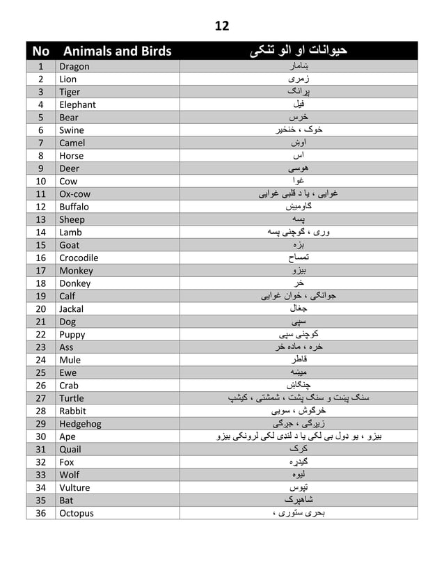 English to Pashto useful words set & Picture Dictionary | PDF