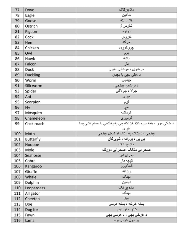 English to Pashto useful words set & Picture Dictionary | PDF