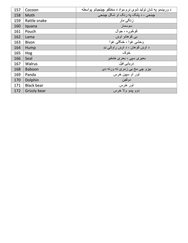 English to Pashto useful words set & Picture Dictionary | PDF