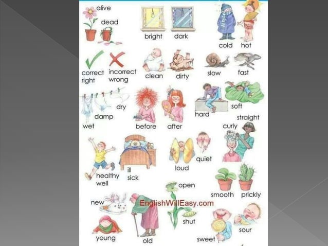 ENGLISH VOCABULARY.pptx