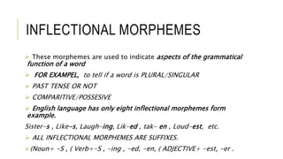 English vocabulary and basic grammar teaching by morphology | PPT