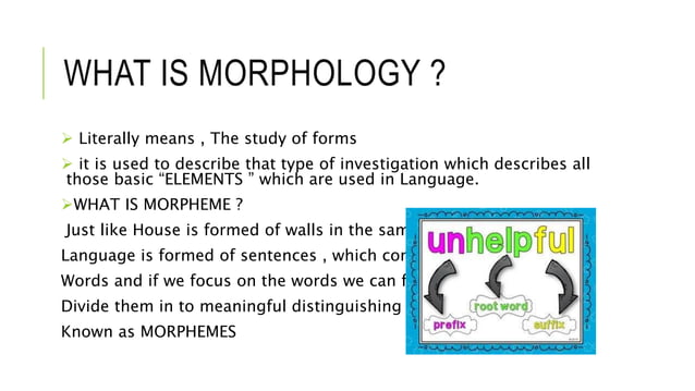 English vocabulary and basic grammar teaching by morphology | PPT ...