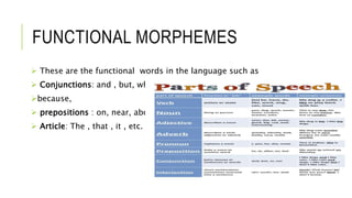 English vocabulary and basic grammar teaching by morphology | PPT