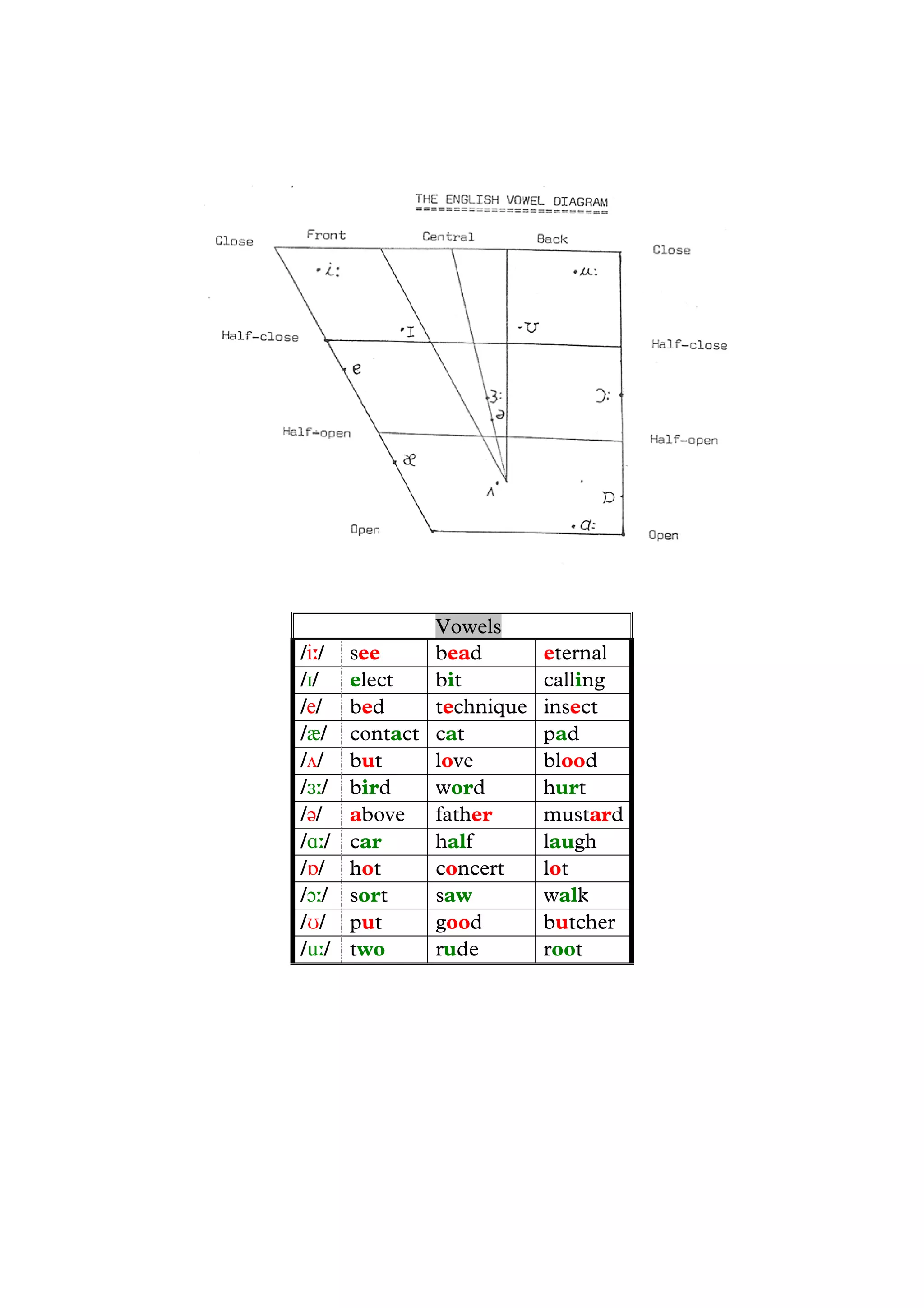 English Vowels | PDF