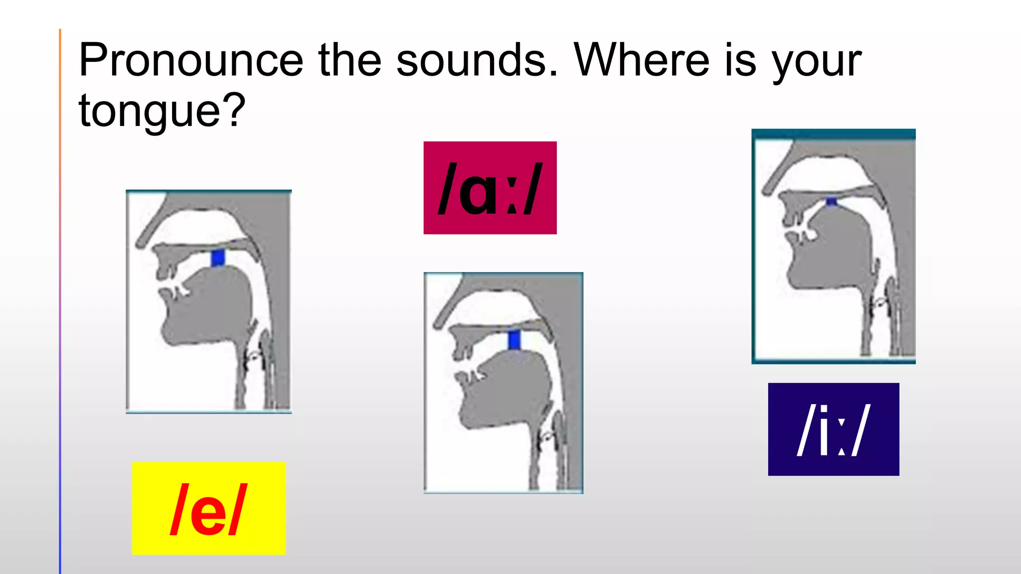 English vowels | PPTX