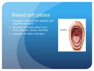 Overview: English vowels- Diction | PPT