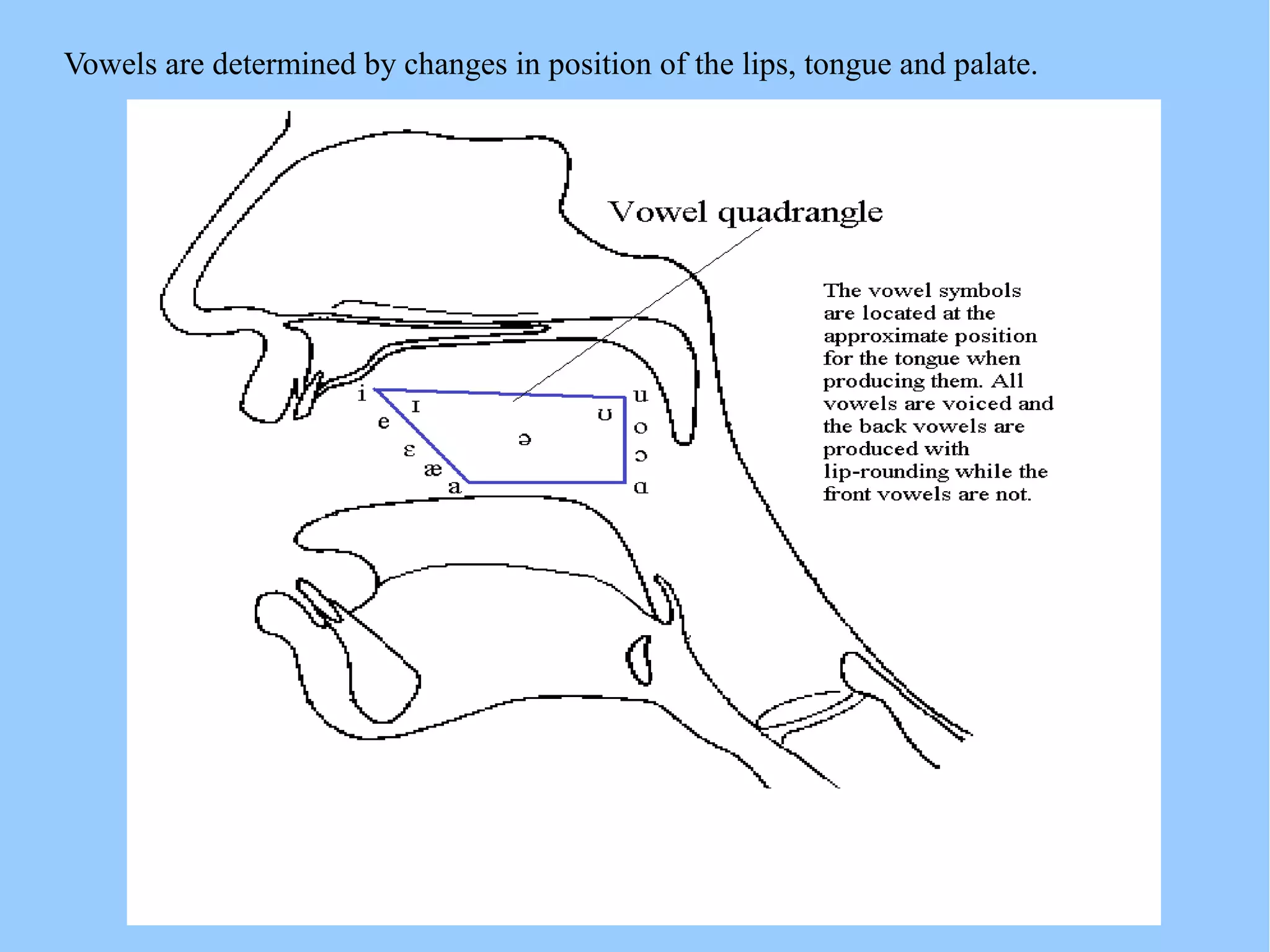 English vowel system | ODP