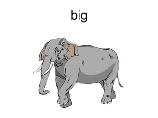 English word unit 9 adjectives | PPT