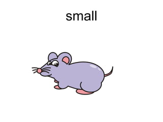 English word unit 9 adjectives | PPT