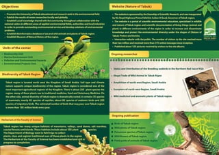 English workshop | PDF