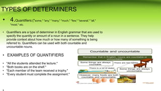 determiners andddd its types in detailed | PPT