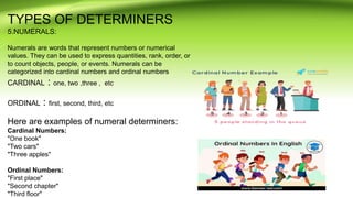 determiners andddd its types in detailed | PPT