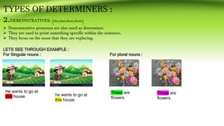 determiners andddd its types in detailed | PPT