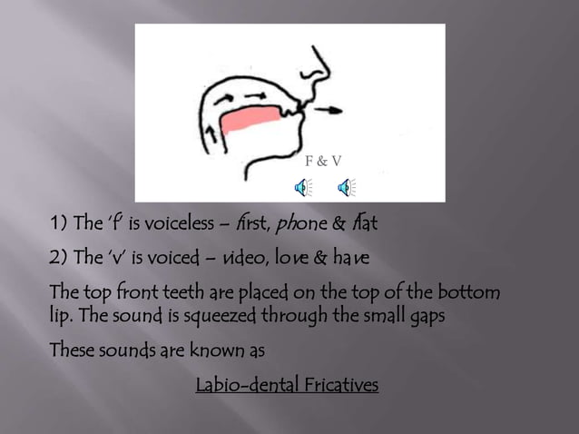 Phonetics | PPTX