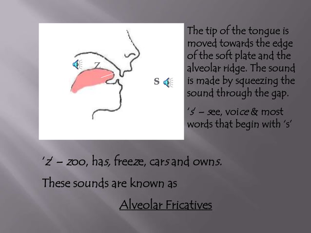 Phonetics | PPTX