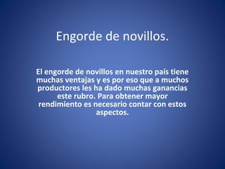 Engorde de novillos.. | PPT