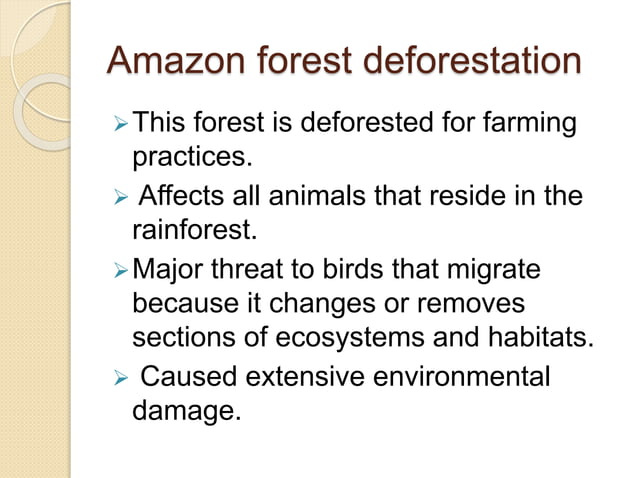 Amazon forest at america | PPTX