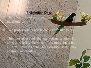 Why do school needs Mentorship Program | PPTX