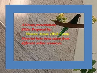 Why do school needs Mentorship Program | PPTX