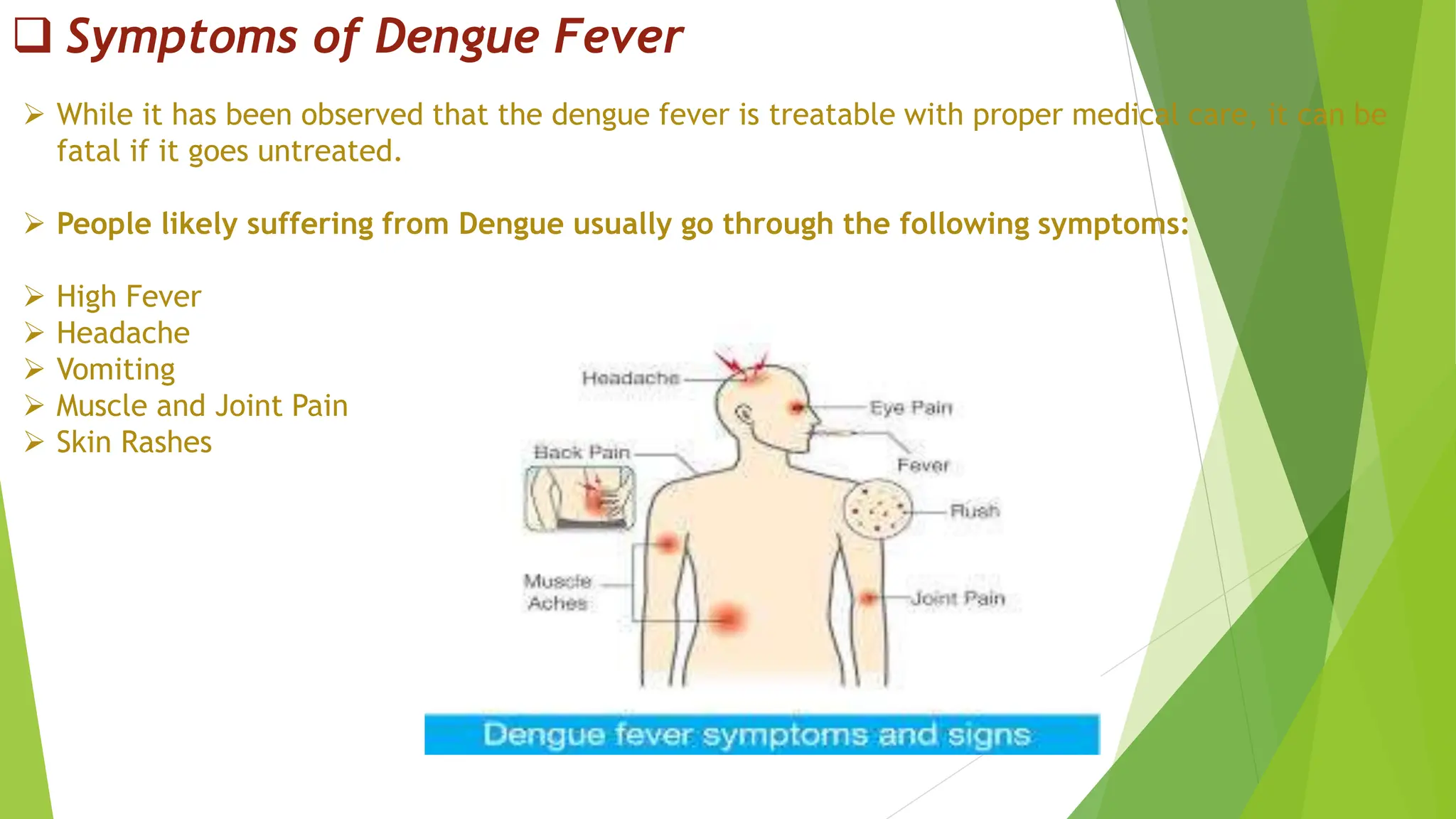 ENG PPT Disease.pptxHuman Following Robot.pptxHuman Following Robot ...
