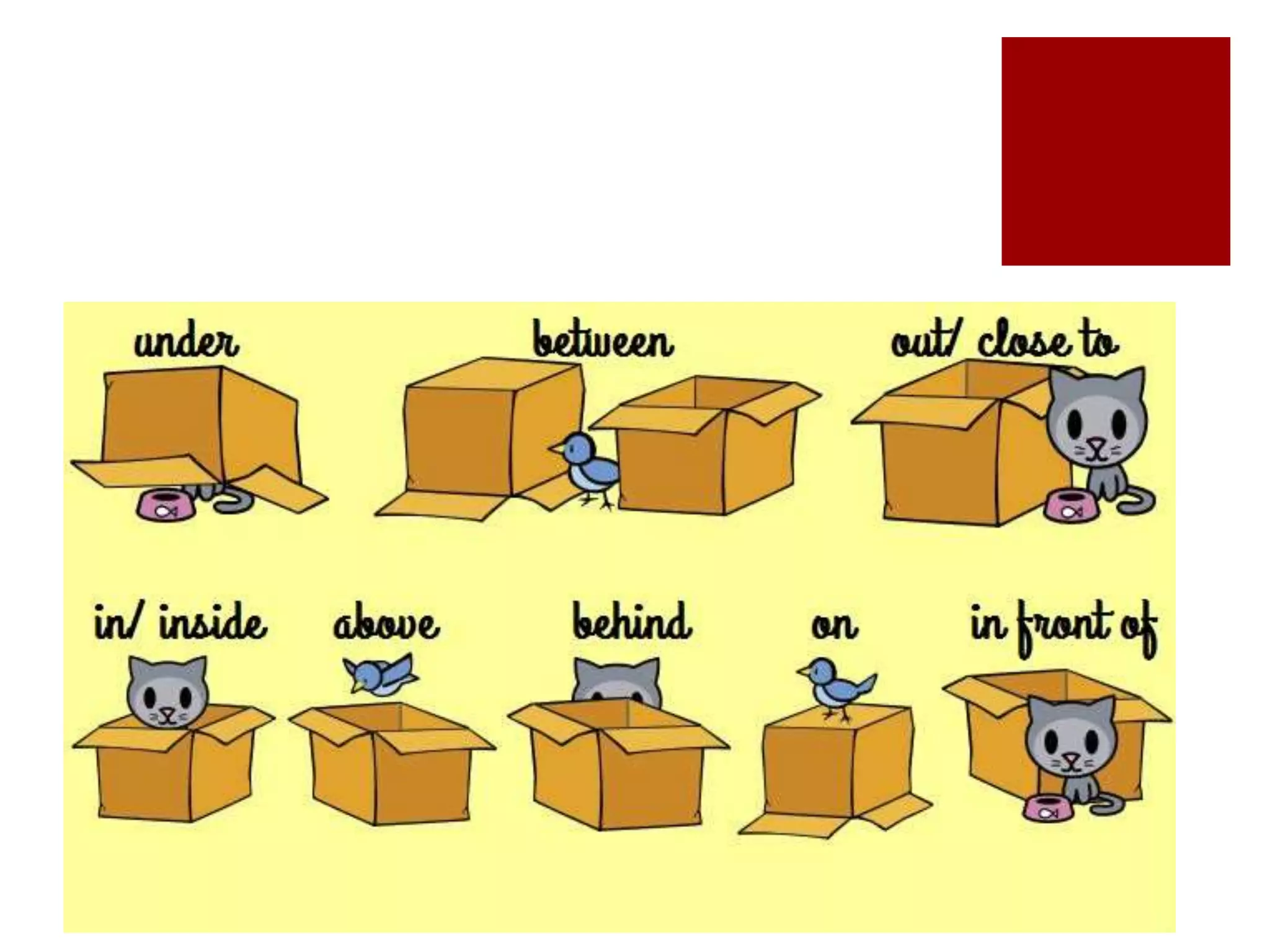 English preposition Primary 5 | PPT