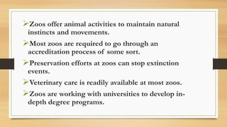 ENG PRESENTATION.pptx