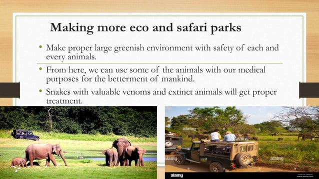 ENG PRESENTATION.pptx