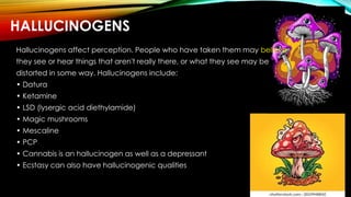 ENG_Presentation.pdf