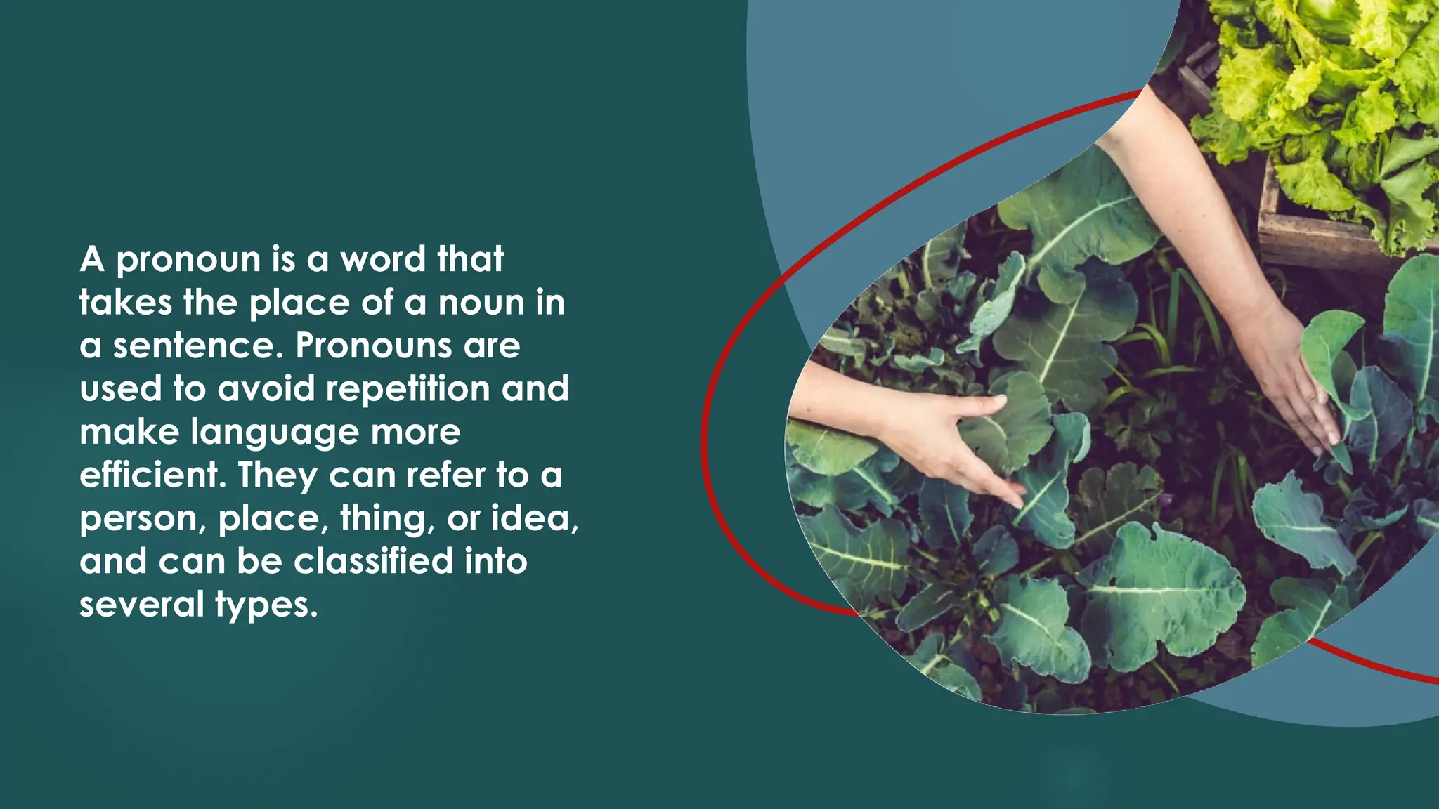 Parts of speech (noun,verb,adverb,adjective, conjunction, interjection ...