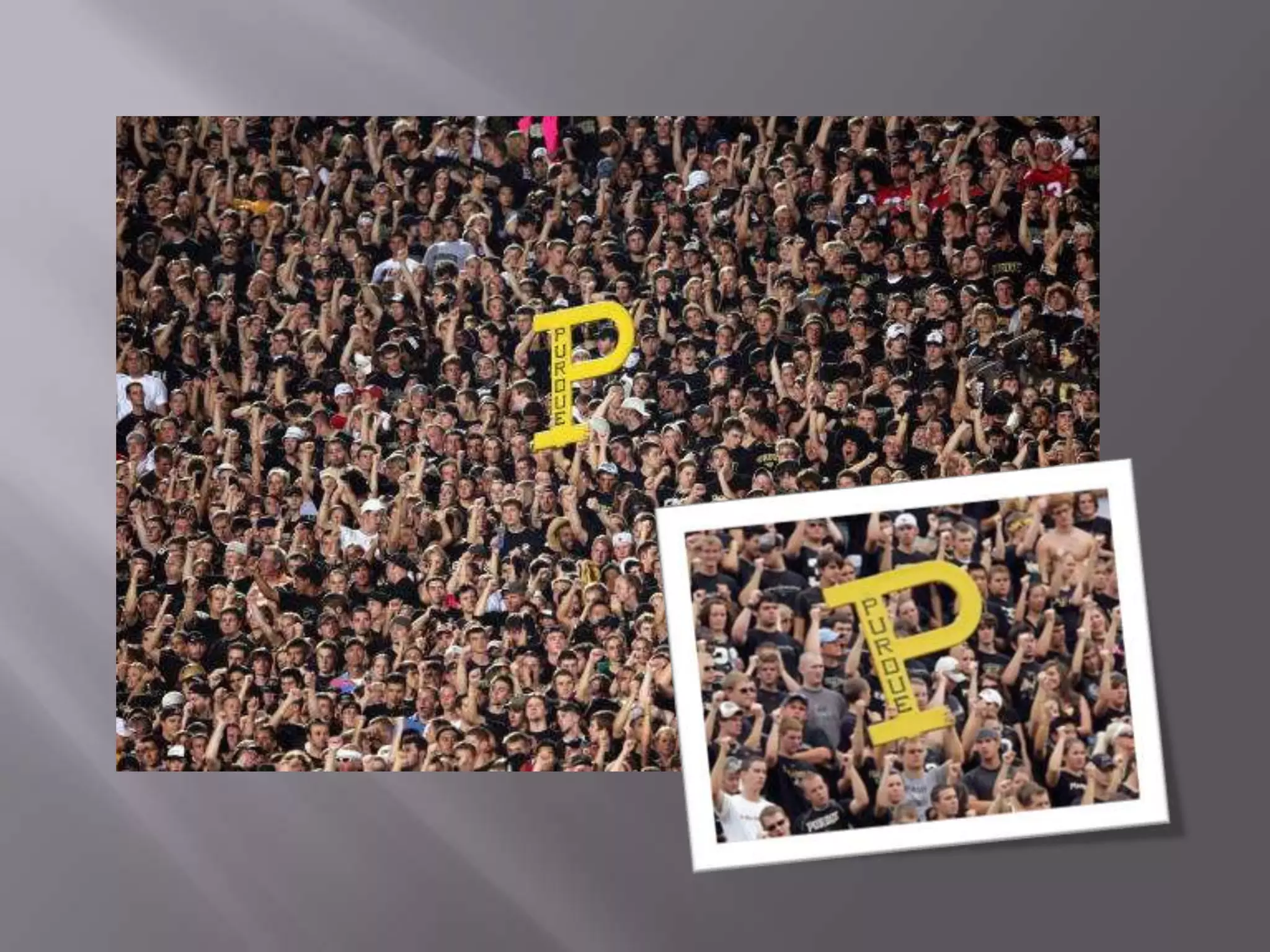 Purdue Football Student Section | PPTX