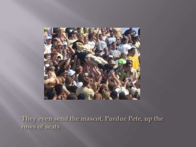 Purdue Football Student Section | PPT