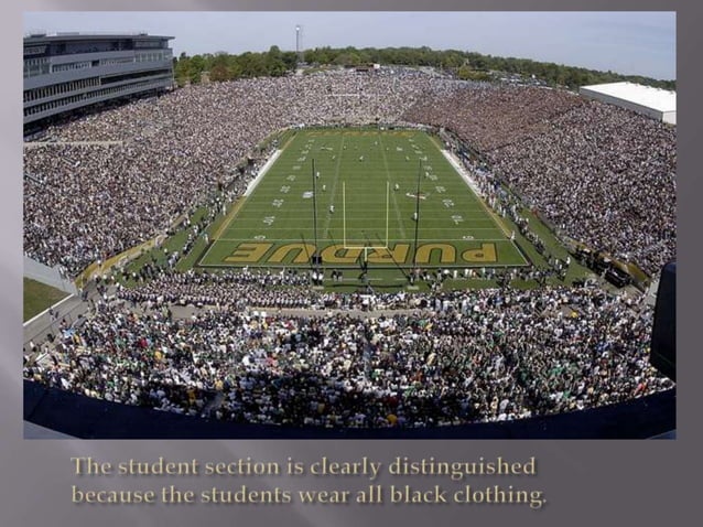 Purdue Football Student Section | PPT